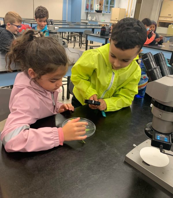 Activités scientifiques | Technoscience Mauricie Centre-du-Québec
